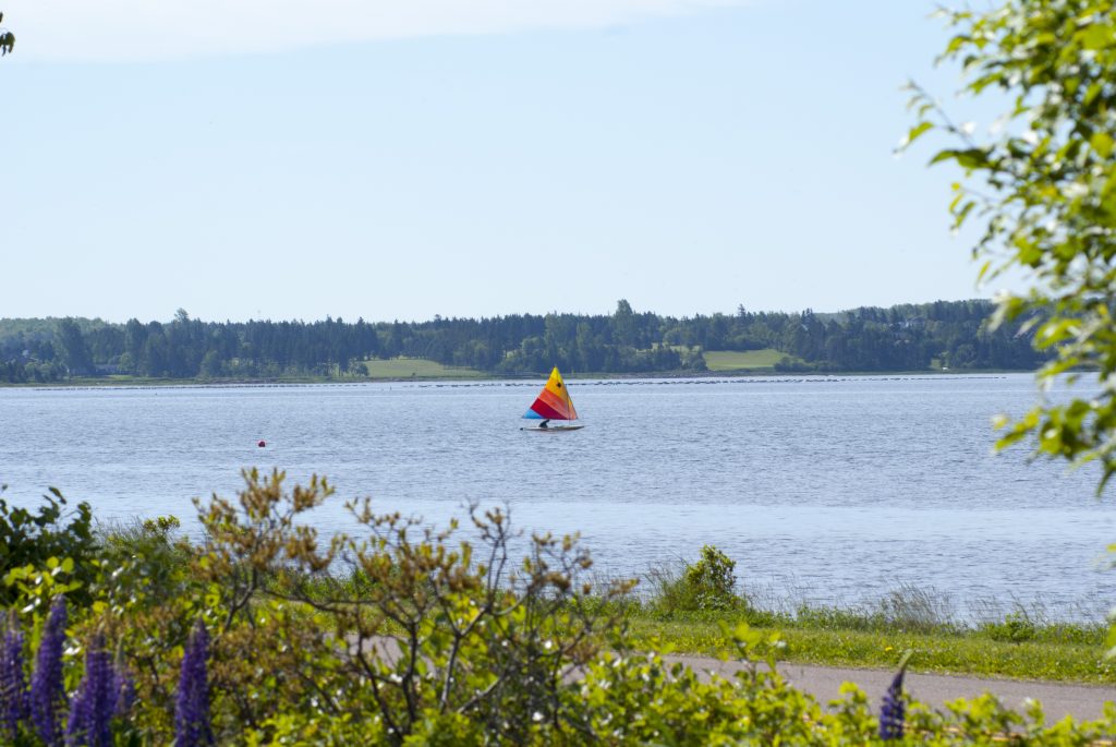 Home - Bayside Cottages
